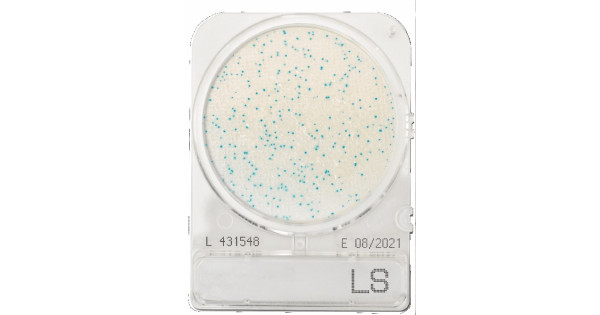 Мікробіологічне сухе середовище Compact Dry LS Listeria набір 40 шт.